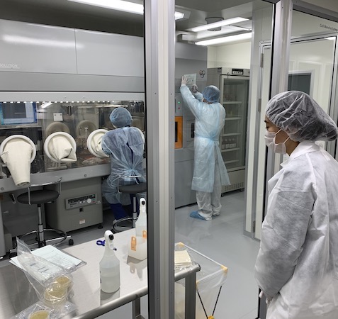 GMP Cell & iPSC Manufacturing Services / Off-the-shelf GMP iPS Cell ...